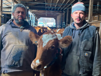 The Livestock Conservancy Microgrants: Fencing to Natural Disaster ...